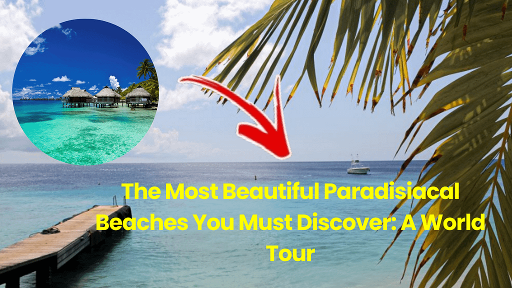 The Most Beautiful Paradisiacal Beaches You Must Discover: A World Tour ...